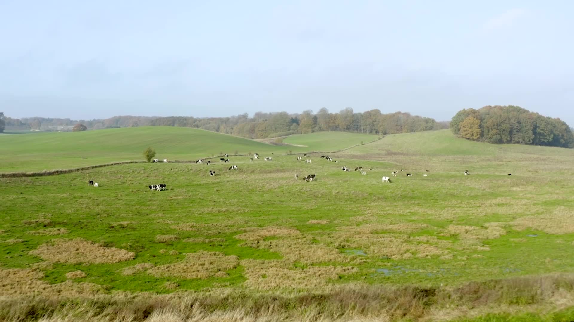 'Burp Tax’ Targets Farmers - Videos from The Weather Channel