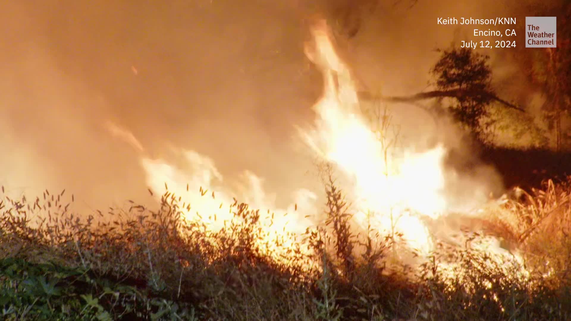 California Wildfires Off To Fast, Deadly Start - Videos from The ...