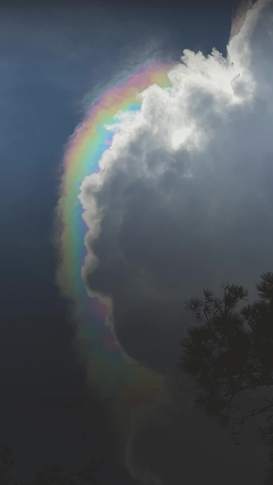 072324 CLOUD IRIDESCENCE IN TEXAS - Videos from The Weather Channel