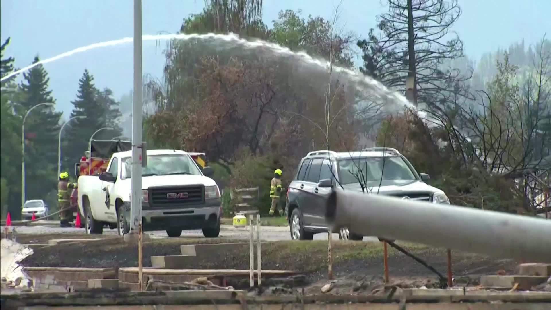How Grizzly And Her Cubs Survived Park's Largest Fire In Century ...