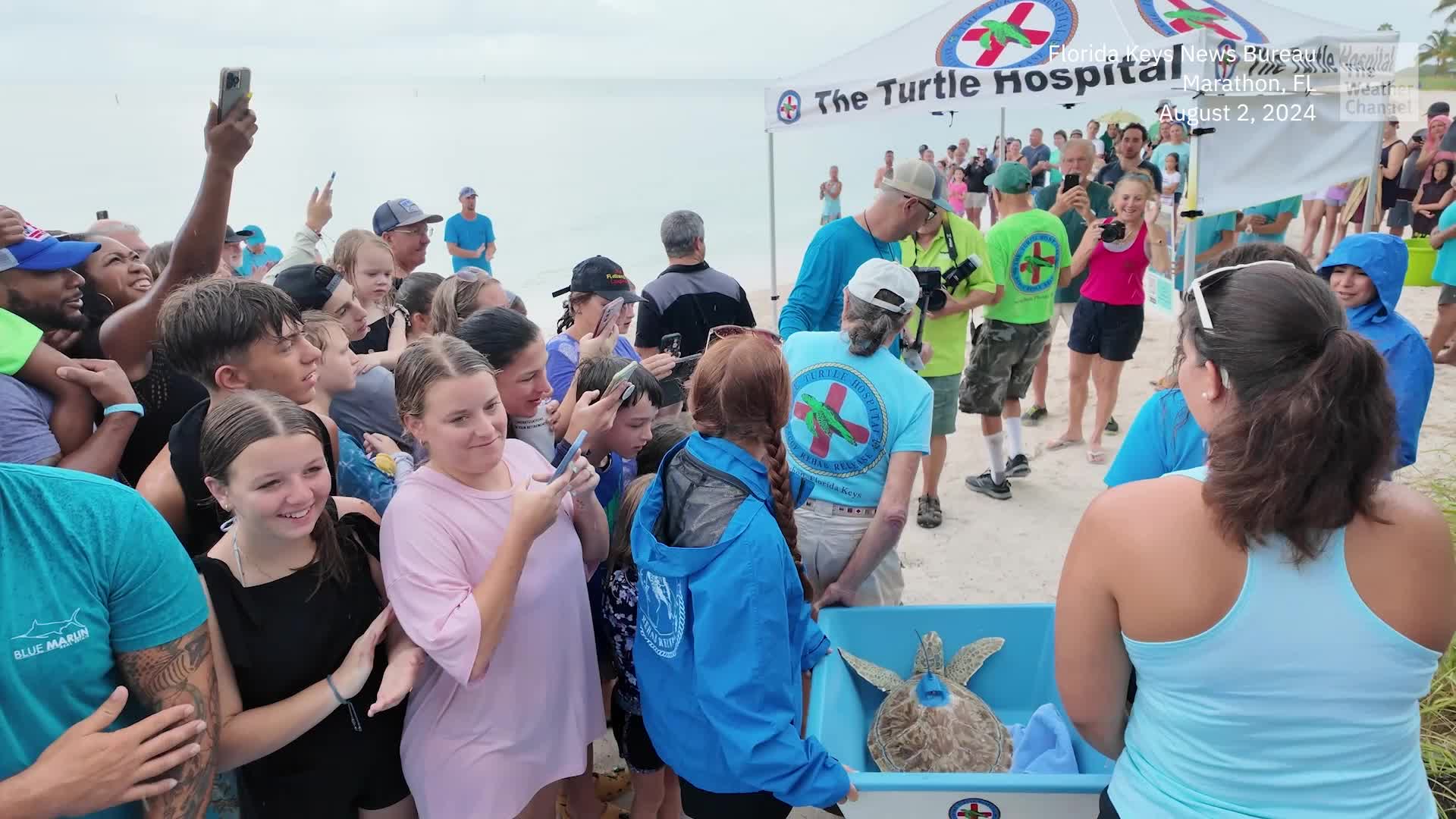 Roseleigh’s Triumphant Return - Videos from The Weather Channel