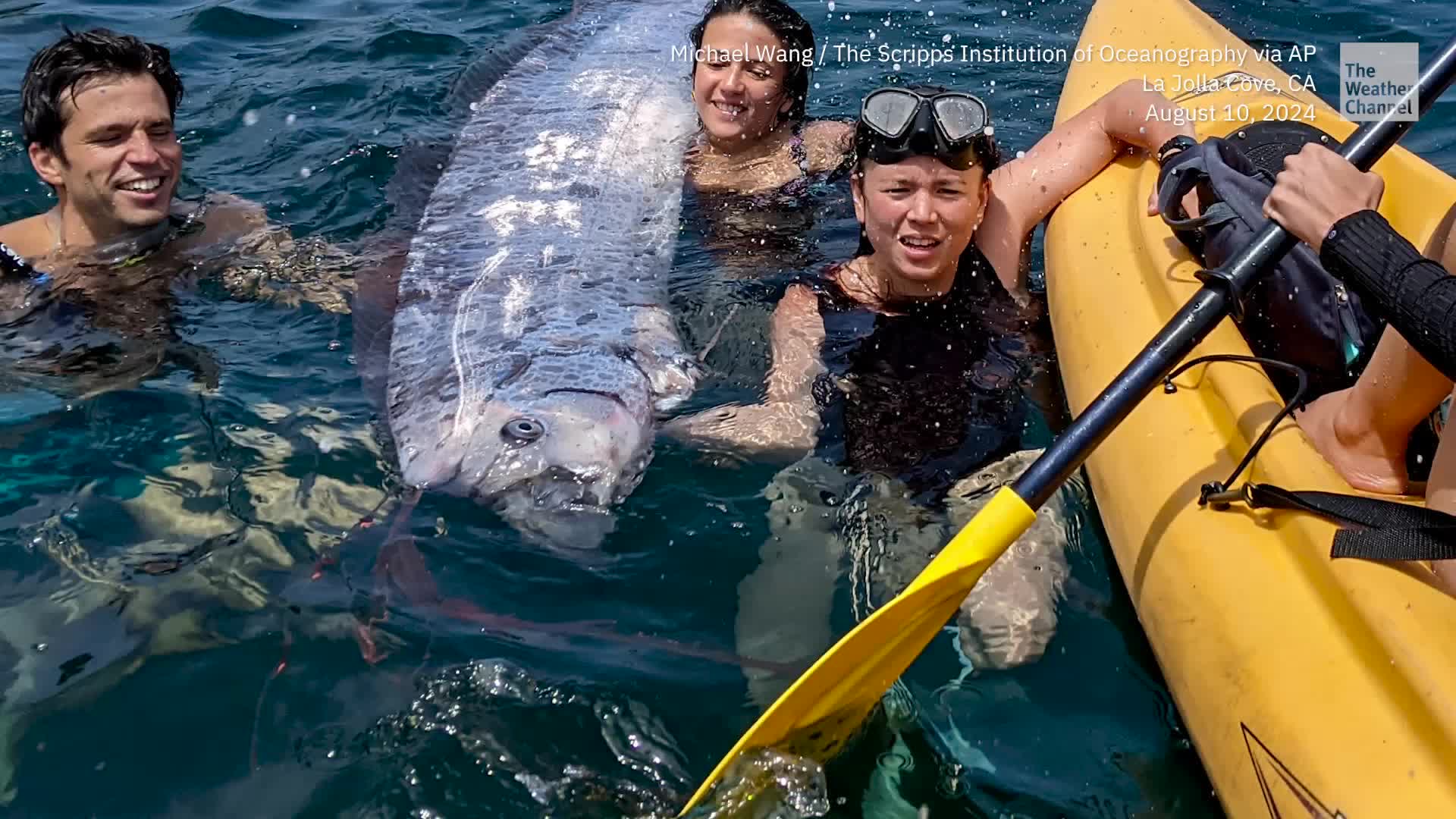 Did 'Doomsday Fish' Predict California Quake? - Videos from The Weather ...