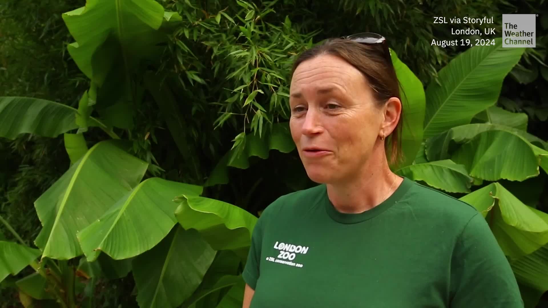 Scales And Tails: 400 Species Weigh In - Videos from The Weather Channel