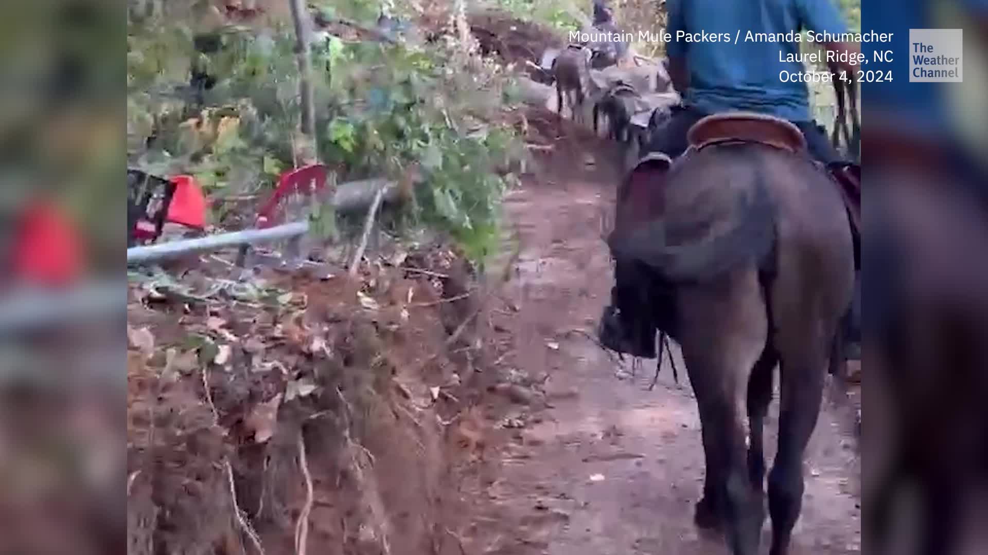 Mules Deliver Supplies To Flood Victims - Videos from The Weather Channel