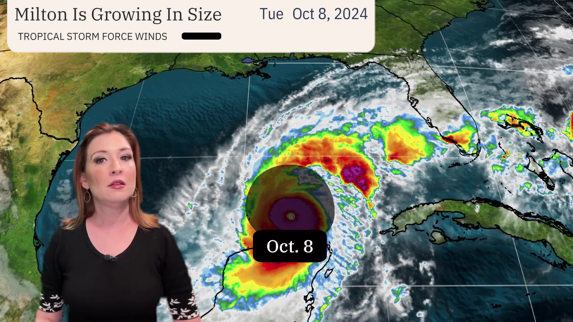 Winds Felt Across Florida As Milton Grows In Size - Videos from The ...