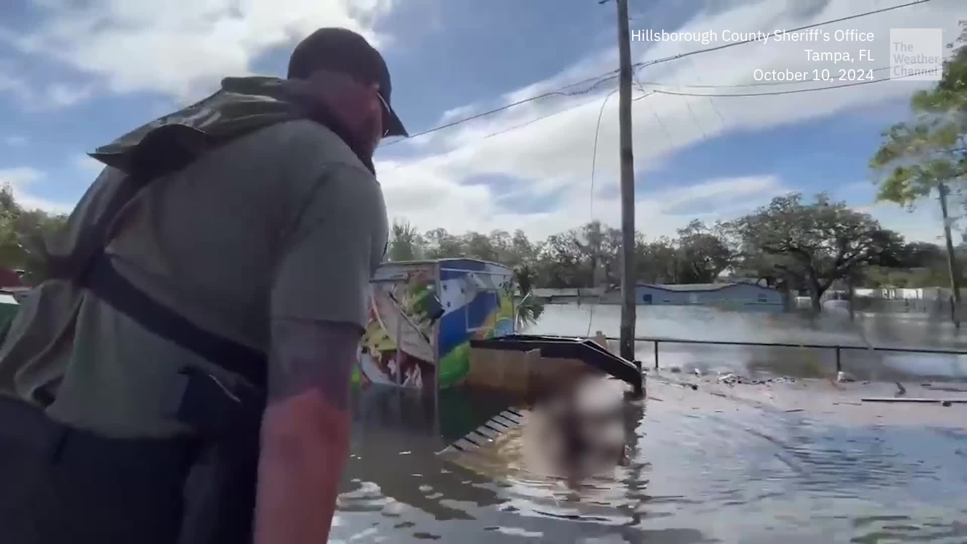 Giant Lizards Invading Georgia? - Videos from The Weather Channel