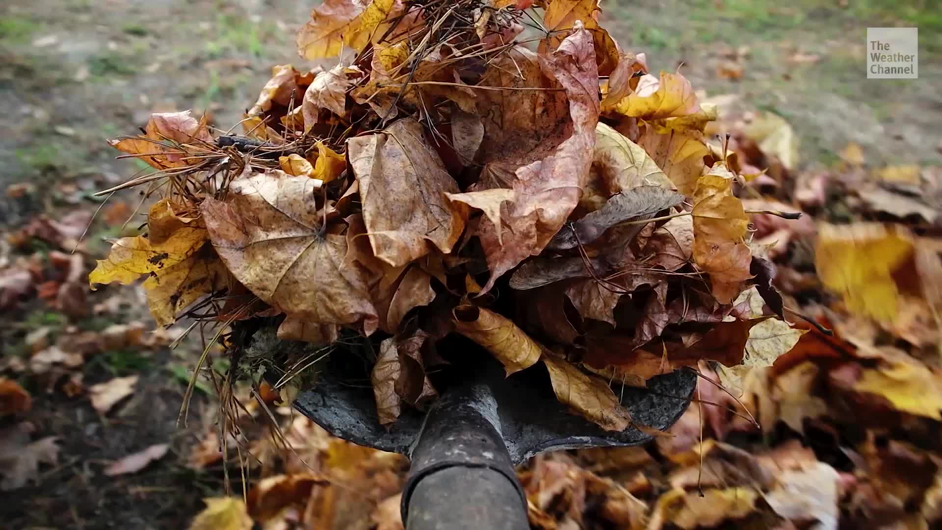 Home & Garden: House, Home & Yard - Weather.com