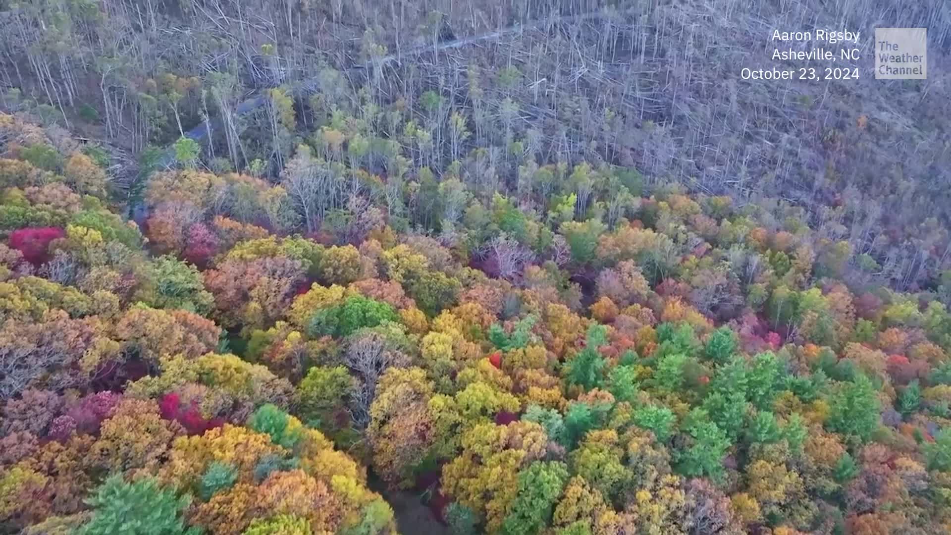 How Helene Could Change North Carolina’s Weather - Videos from The ...