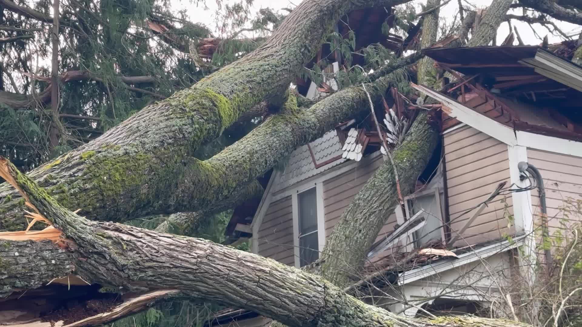 Power On Display: Deadly Winds Wreck Northwest - Videos from The ...