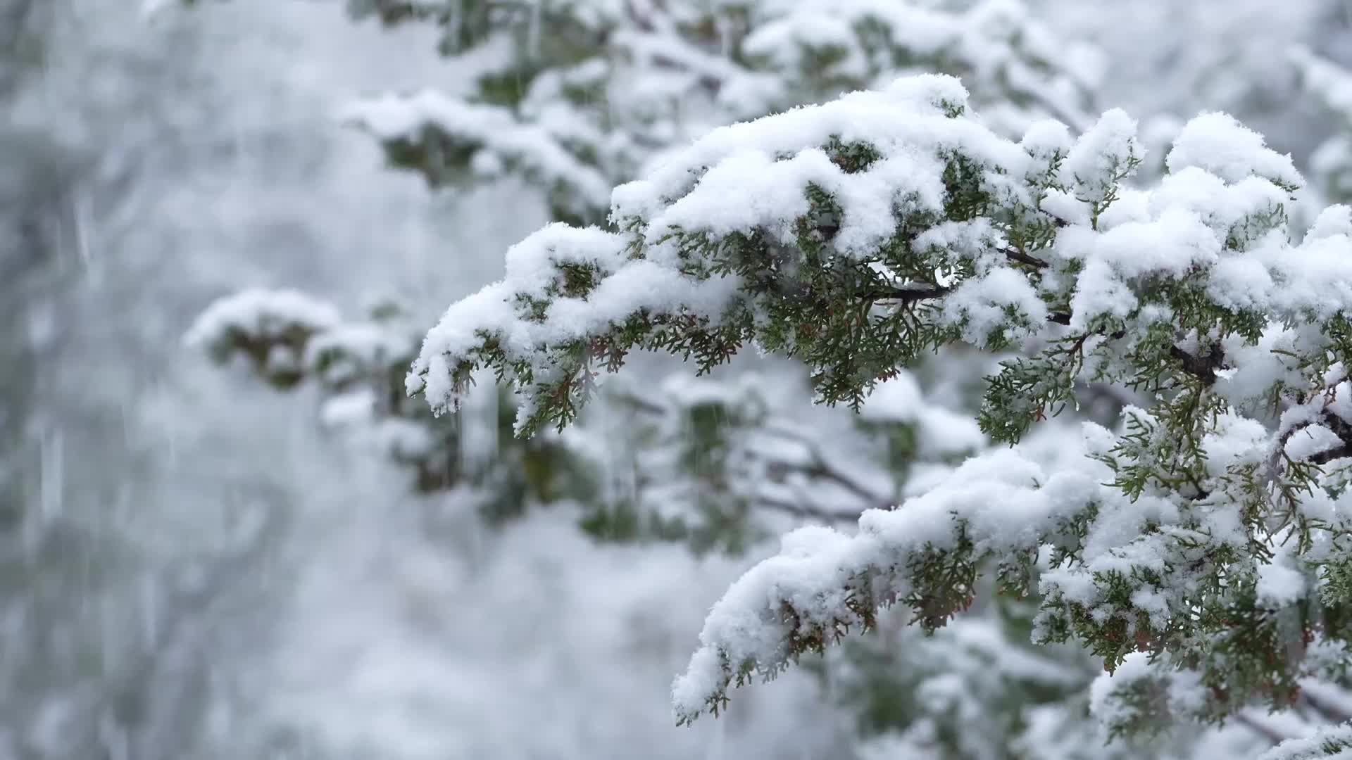 Why All Snowflakes Have Six Sides - Videos from The Weather Channel