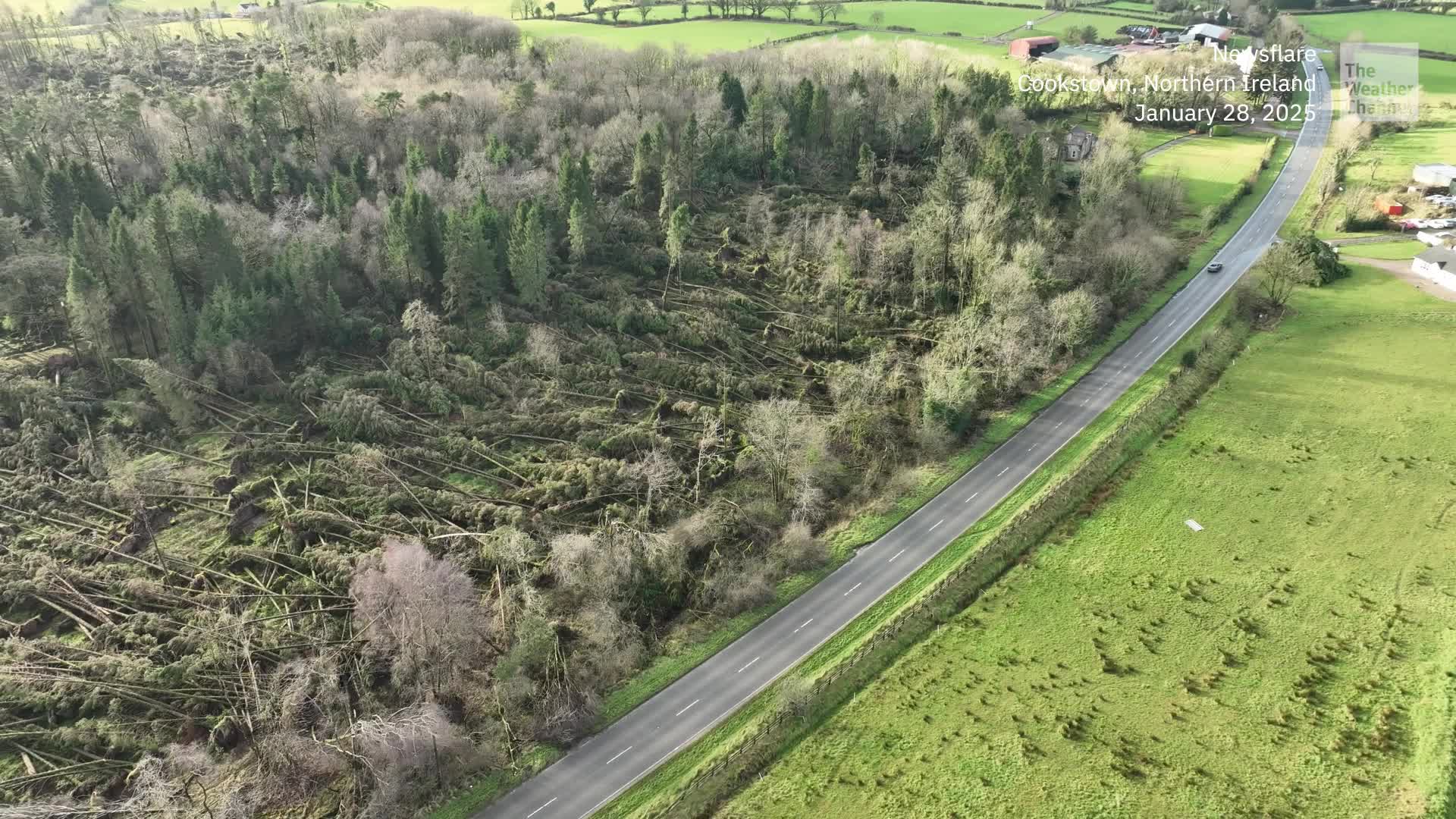 Storm Winds Flatten Forests In Northern Ireland - Videos from The ...