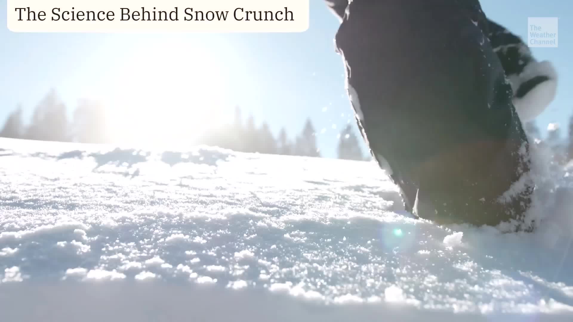 Snow Crunch: It’s Science, Not A Breakfast Cereal - Videos from The ...