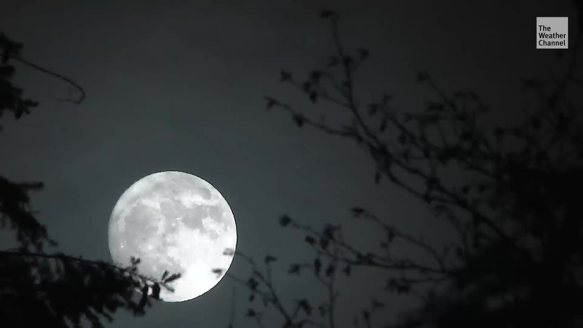 Does A Full Moon Control Winter Weather? - Videos from The Weather Channel