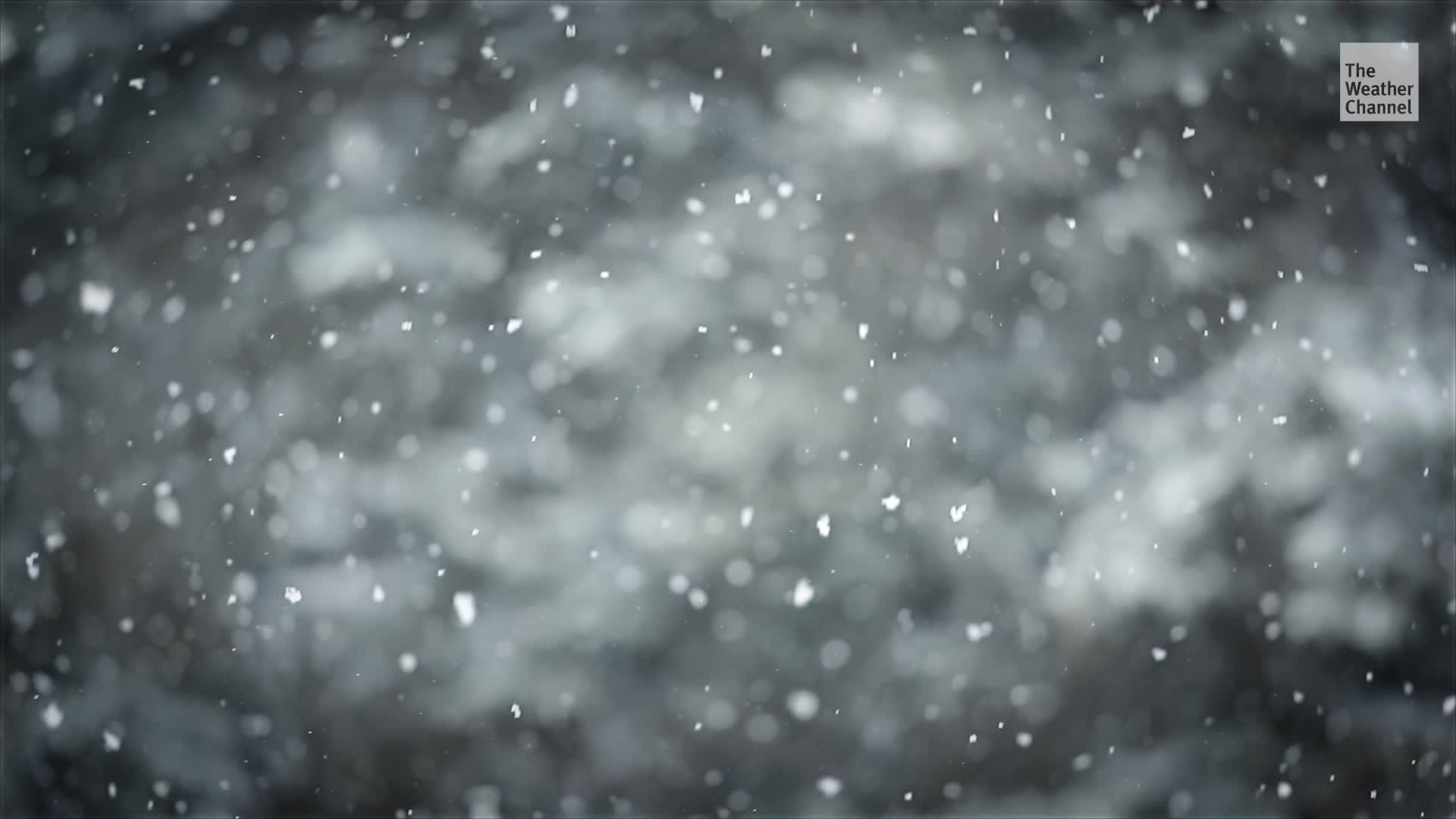 Have You Ever Seen Inside A Snowflake? - Videos from The Weather Channel