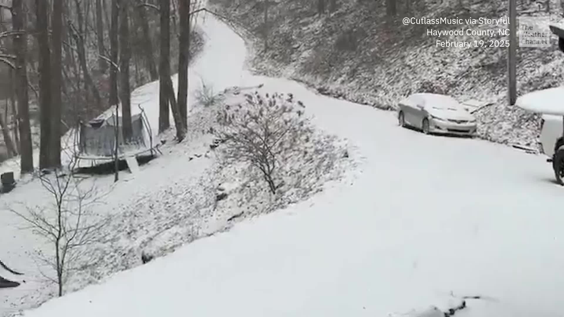 Southern Snow: See Which States Got It - Videos from The Weather Channel