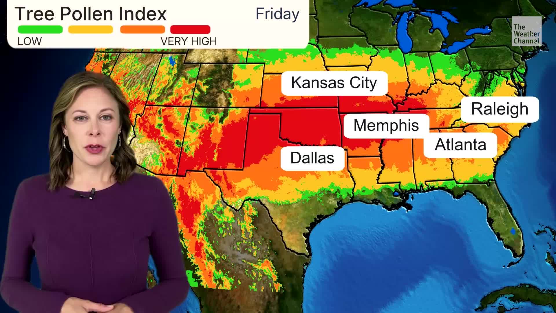 Pollen Forecast: Will The Weather Help Or Hurt? - Videos from The ...