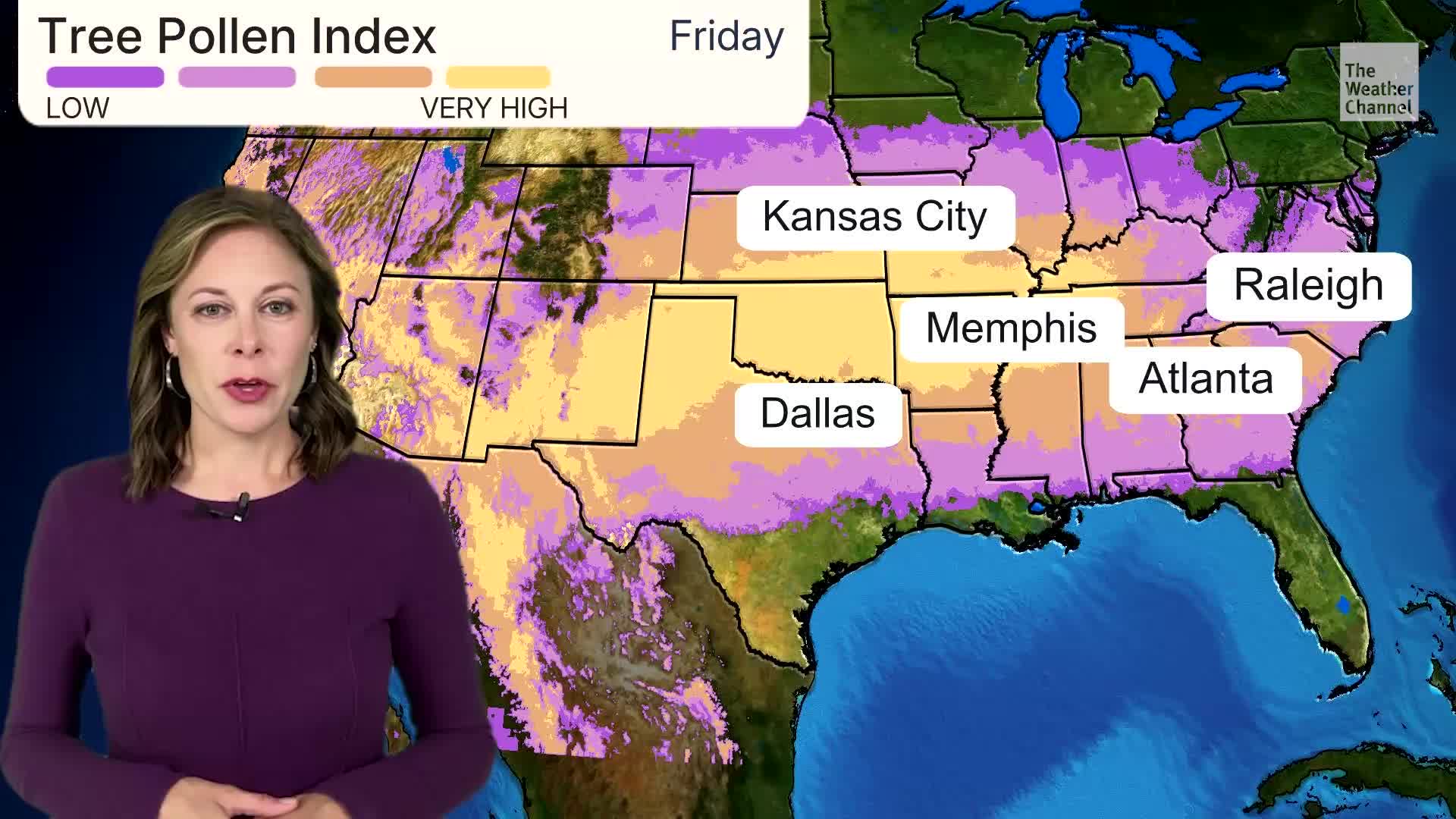 Pollen Forecast: Will Dry, Mild Weather Help? - Videos from The Weather ...