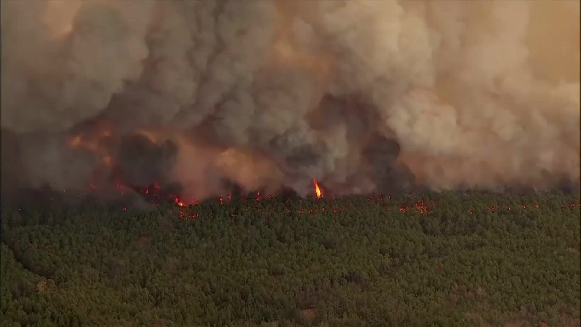 New Jersey Wildfire Explodes, Shuts Down Highway - Videos from The ...