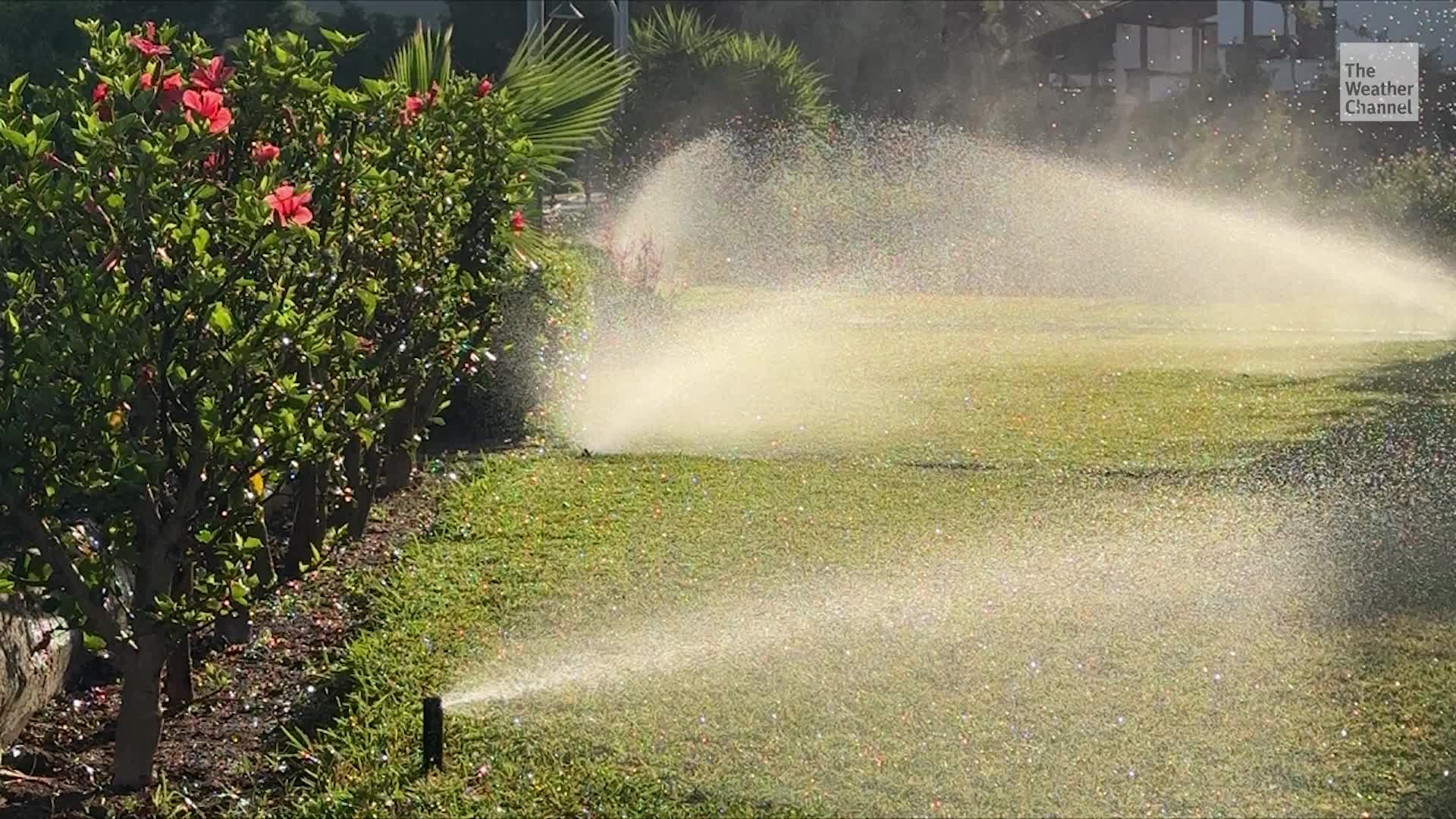 Your Sprinklers Are Probably Costing You - Videos from The Weather Channel