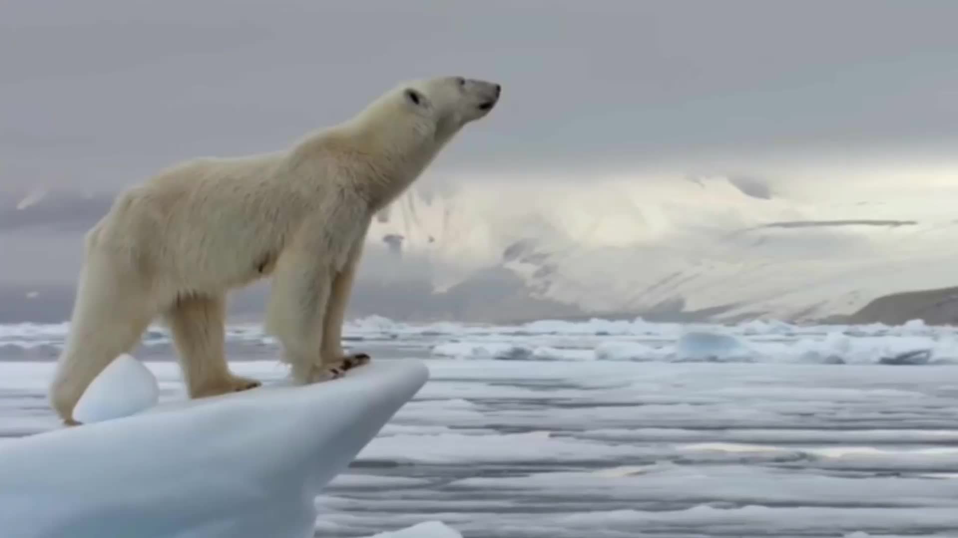 Major Climate Tipping Points Ahead - Videos from The Weather Channel