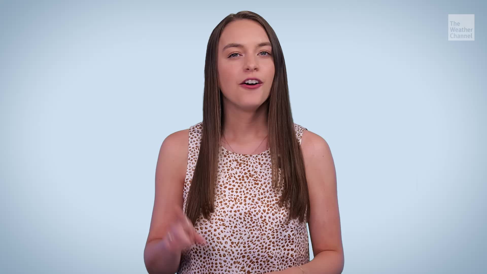 Here’s How Tropical Forecasts Come Together - Videos from The Weather ...