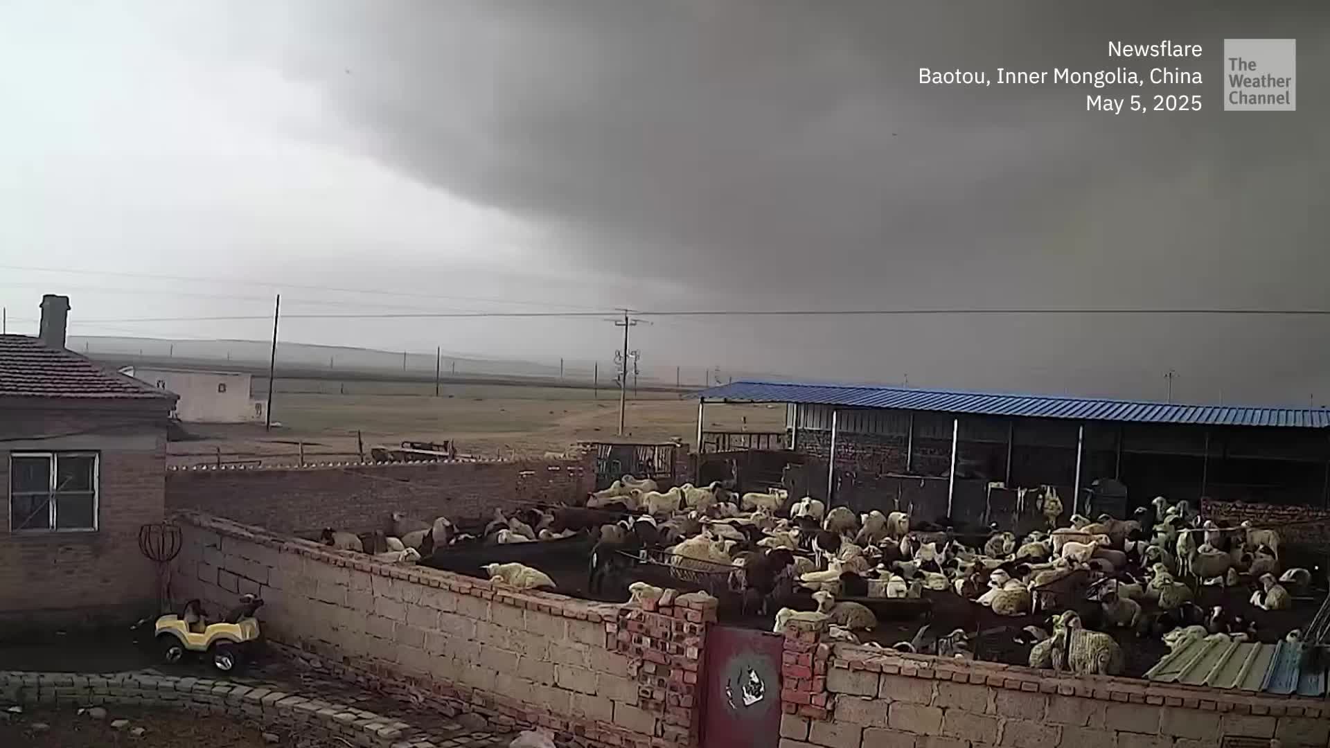 Experts React: Did A Tornado Shred This Sheep Pen? - Videos from The ...