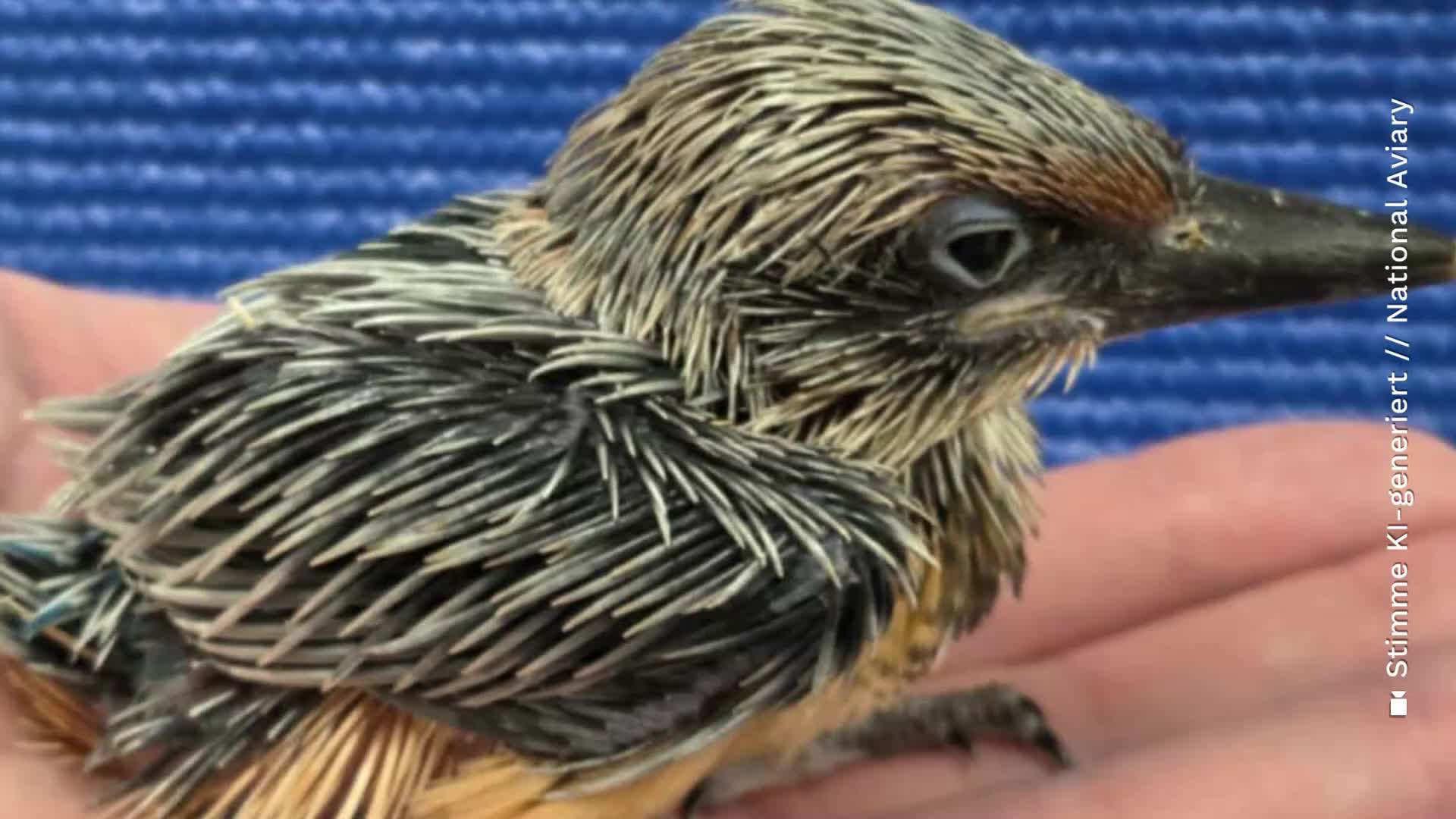 Hitzeblase über Europa: Wann kommt der Sommer zurück - Videos from The ...