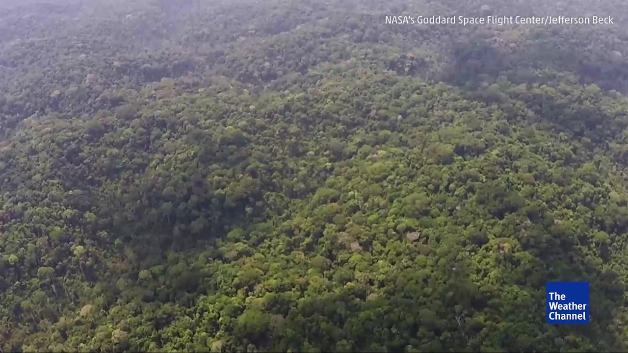 NASA Imagery Shows Stark Amazon Drought - Videos from The Weather Channel