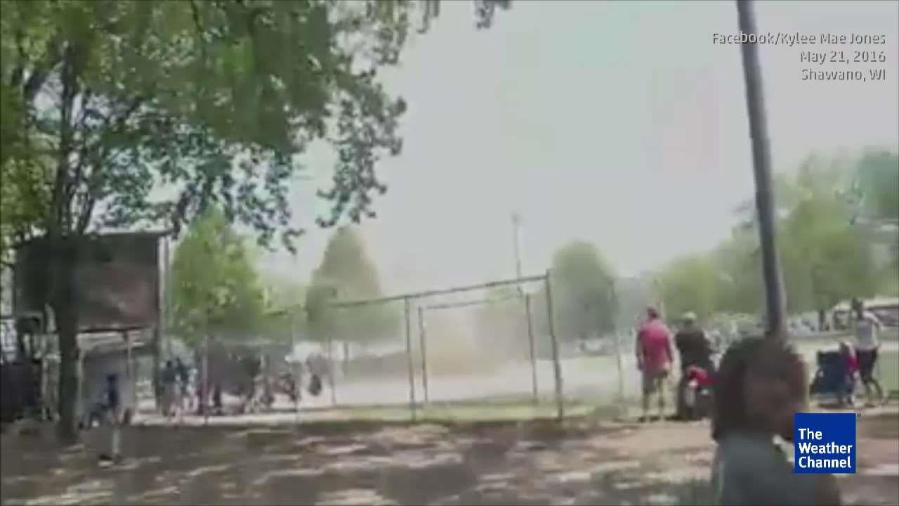 You Won't Believe What Showed Up At This Little League Game - Videos ...