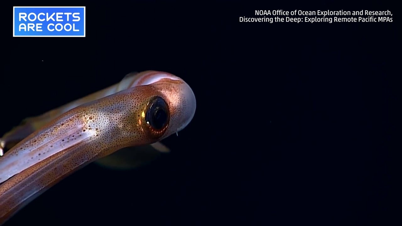 Ghostly Long-Armed Creature Encountered - Videos from The Weather Channel