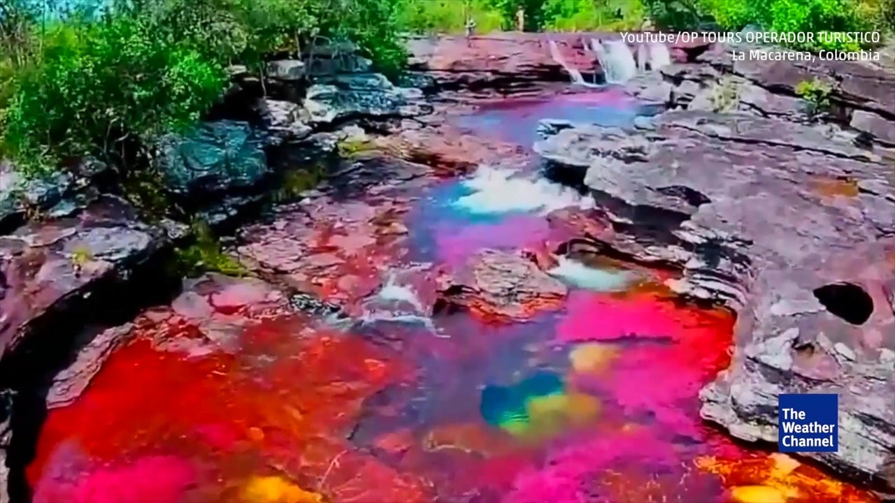 Colombia's 'Liquid Rainbow' Facing Numerous Threats - Videos from The ...
