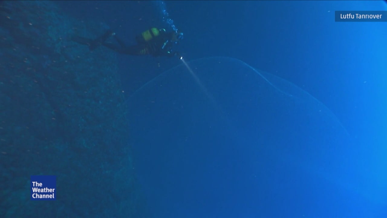 Mysterious Underwater Blob Discovered! - Videos from The Weather Channel