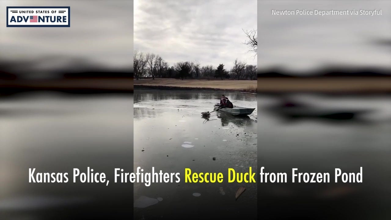 Kansas Police, Firefighters Rescue Duck from Frozen Pond - Videos from ...