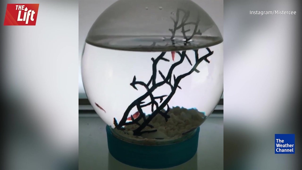 The intersection of art and science - Videos from The Weather Channel