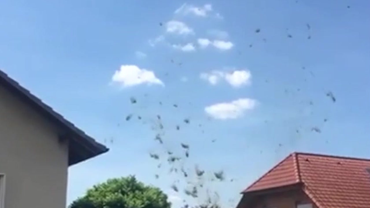 Whirlwind Carries Grass High in Air in Germany - Videos from The ...