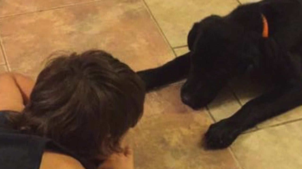 Viral Dog Lover Gets Surprise - Videos from The Weather Channel