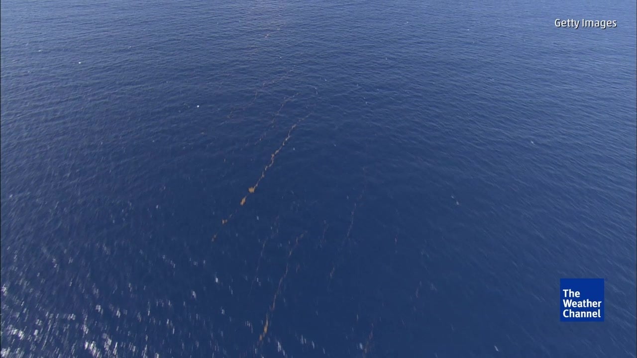 Why Slowing Ocean Currents Are Bad News - Videos from The Weather Channel