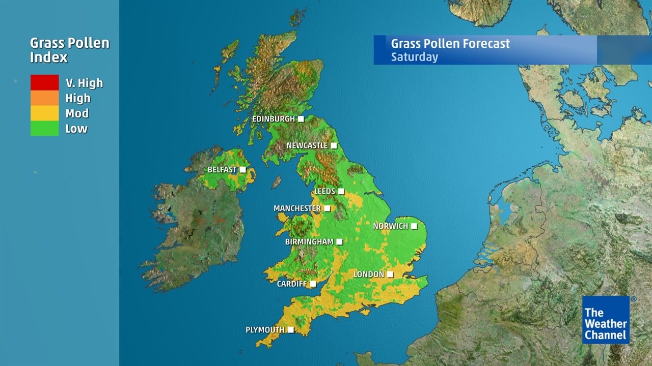 Grass Pollen: Are levels about to rise this week? - Videos from The ...