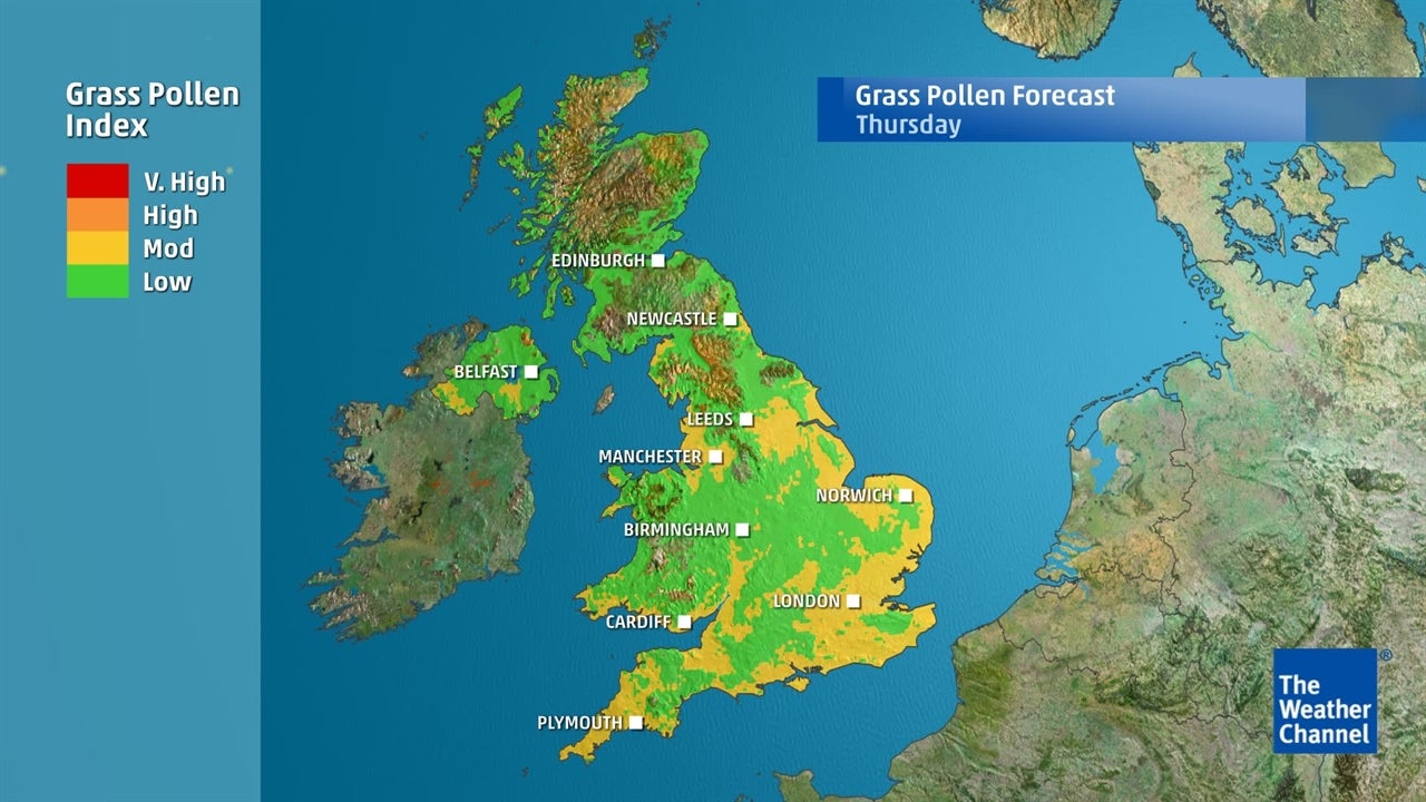 Grass Pollen: Which location has the highest levels? - Videos from The ...
