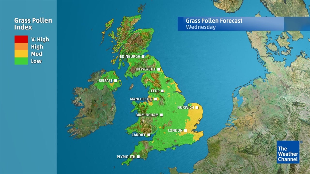 Grass Pollen: Anticipated levels from April 23 - Videos from The ...