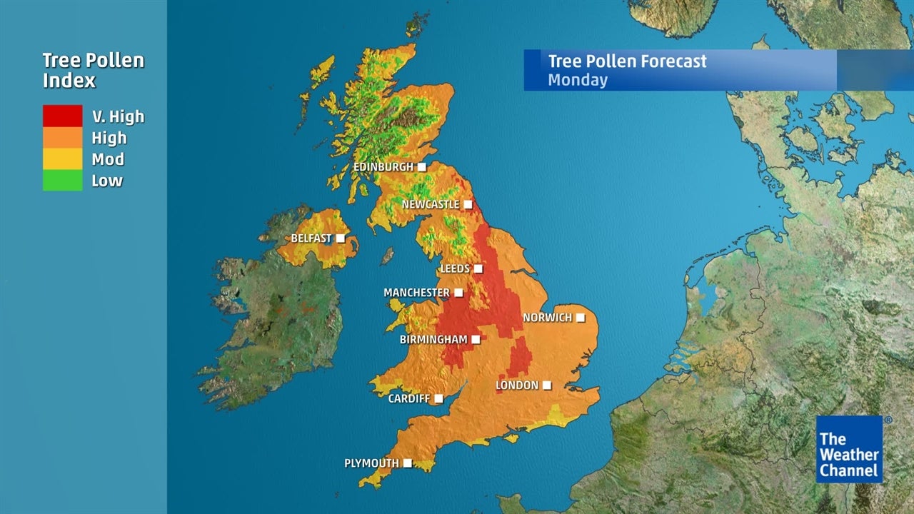 Tree Pollen: Levels increasing across many locations - Videos from The ...