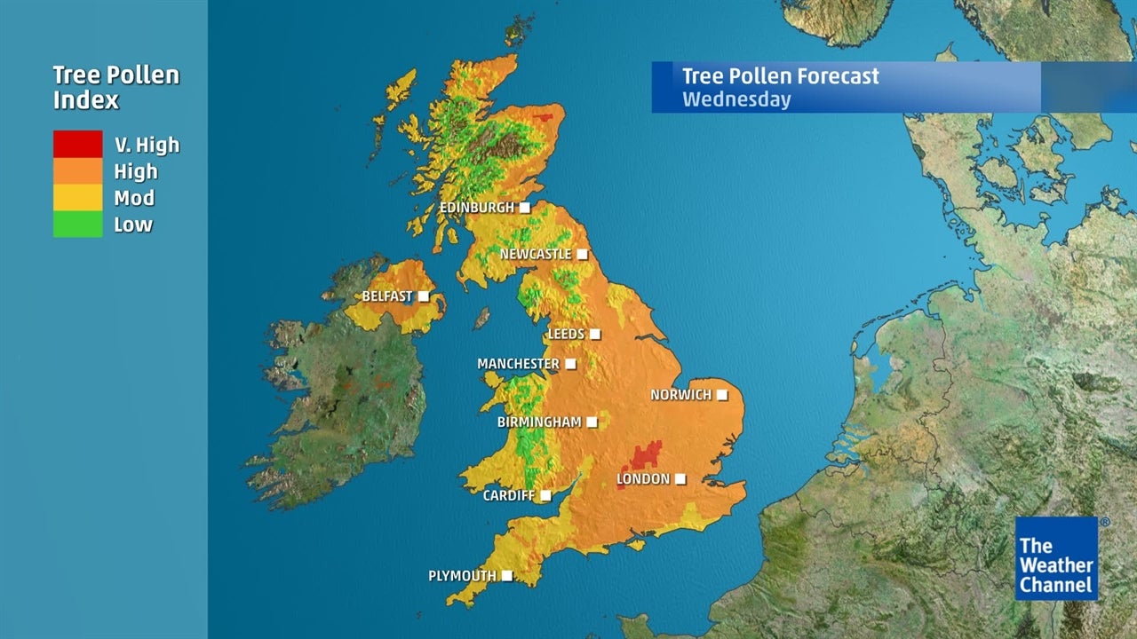 Tree pollen: Levels increasing in next few days - Videos from The ...