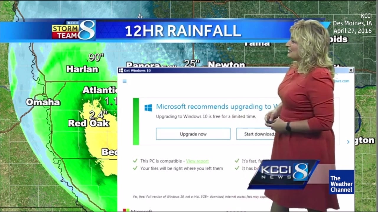 Meteorologist Wasn't Expecting This On Air - Videos from The Weather ...