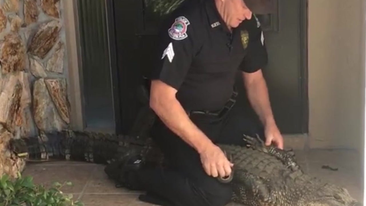 Only in Florida - Videos from The Weather Channel