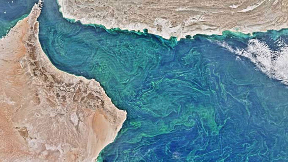 Dead Zone Larger Than FL & Growing - Videos from The Weather Channel