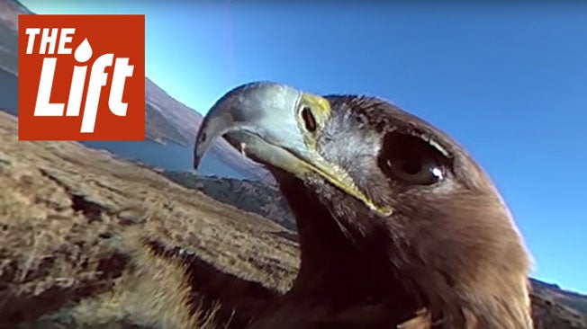 360 Camera Strapped to Eagle - Videos from The Weather Channel