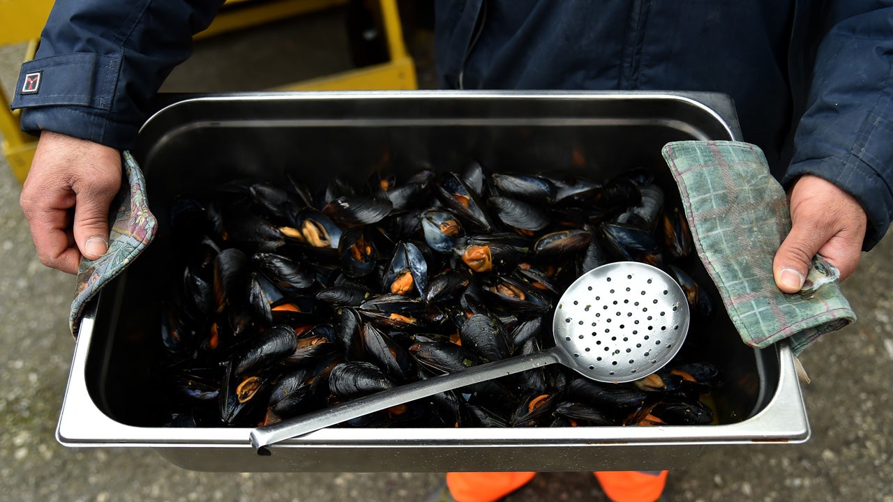 Mussel Mortality Rate Rising - Videos from The Weather Channel