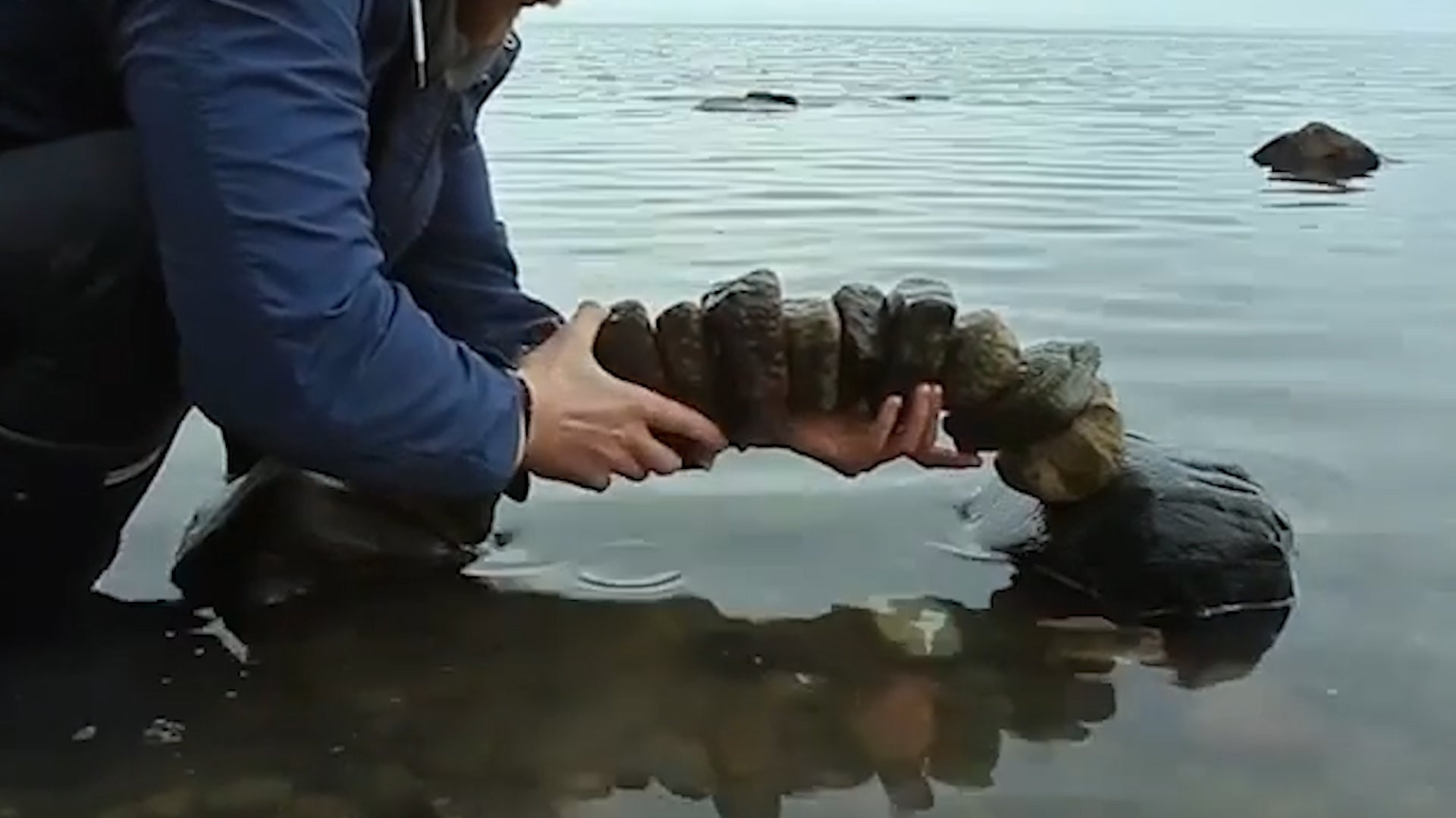 Land Artist Demonstrates How to Make Zen Arch - Videos from The Weather ...